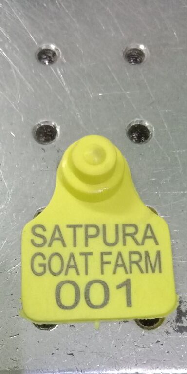 Goat ear tag - SATPURA FARM'S & LIVESTOCK